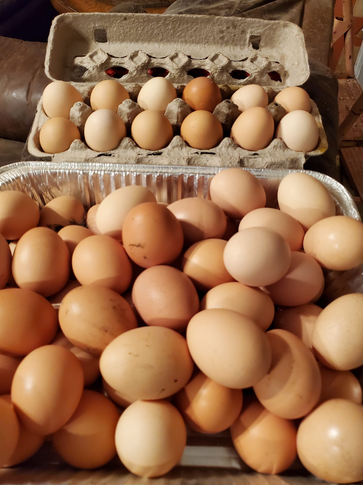 Organic free range farm fresh EGGS! on Farmish