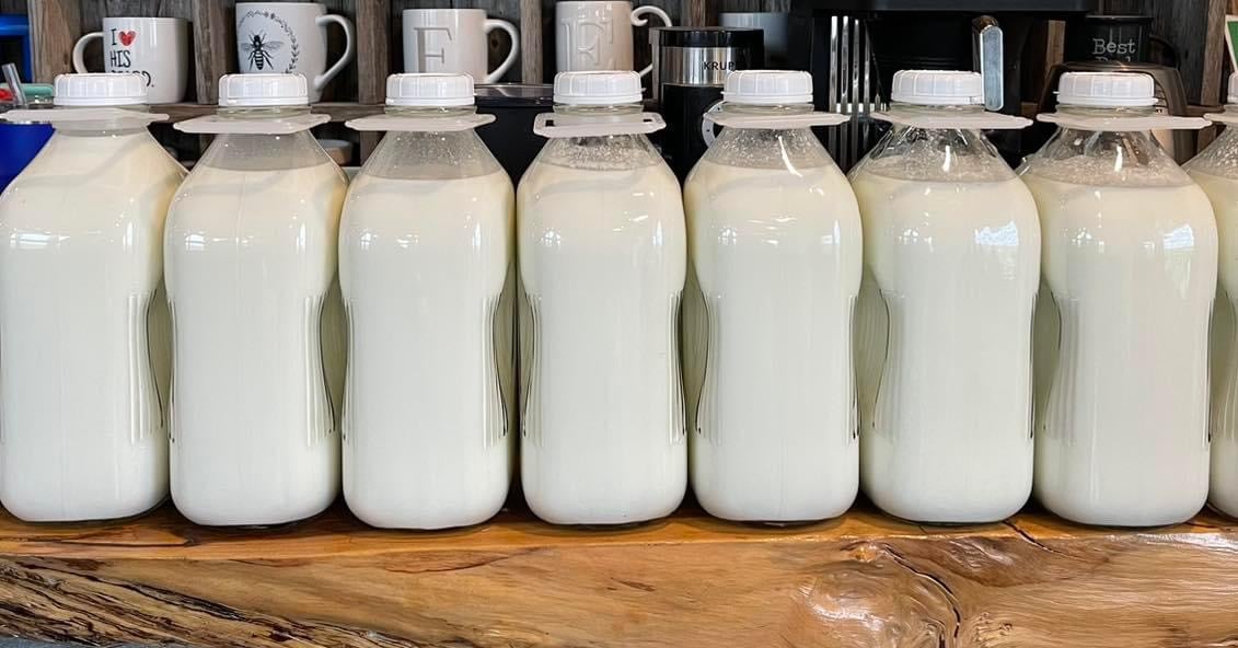 Raw Fresh Goats Milk! on Farmish