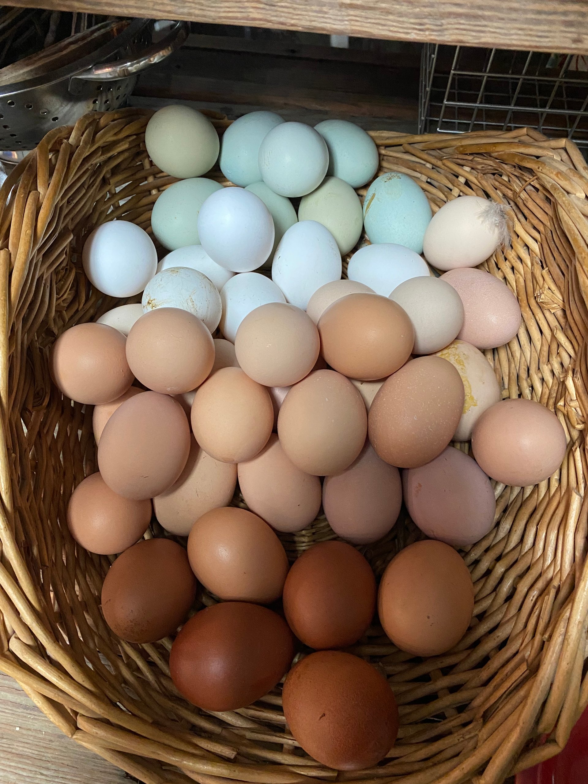 Free Range Farm Fresh Eggs on Farmish